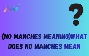 (No manches meaning)what does no manches mean